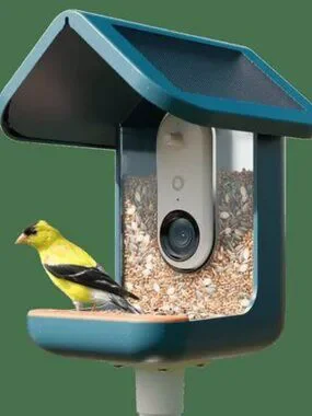 BirdBuddy | Other | Birdbuddy Smart Bird Feeder Pro Solar | Poshmark